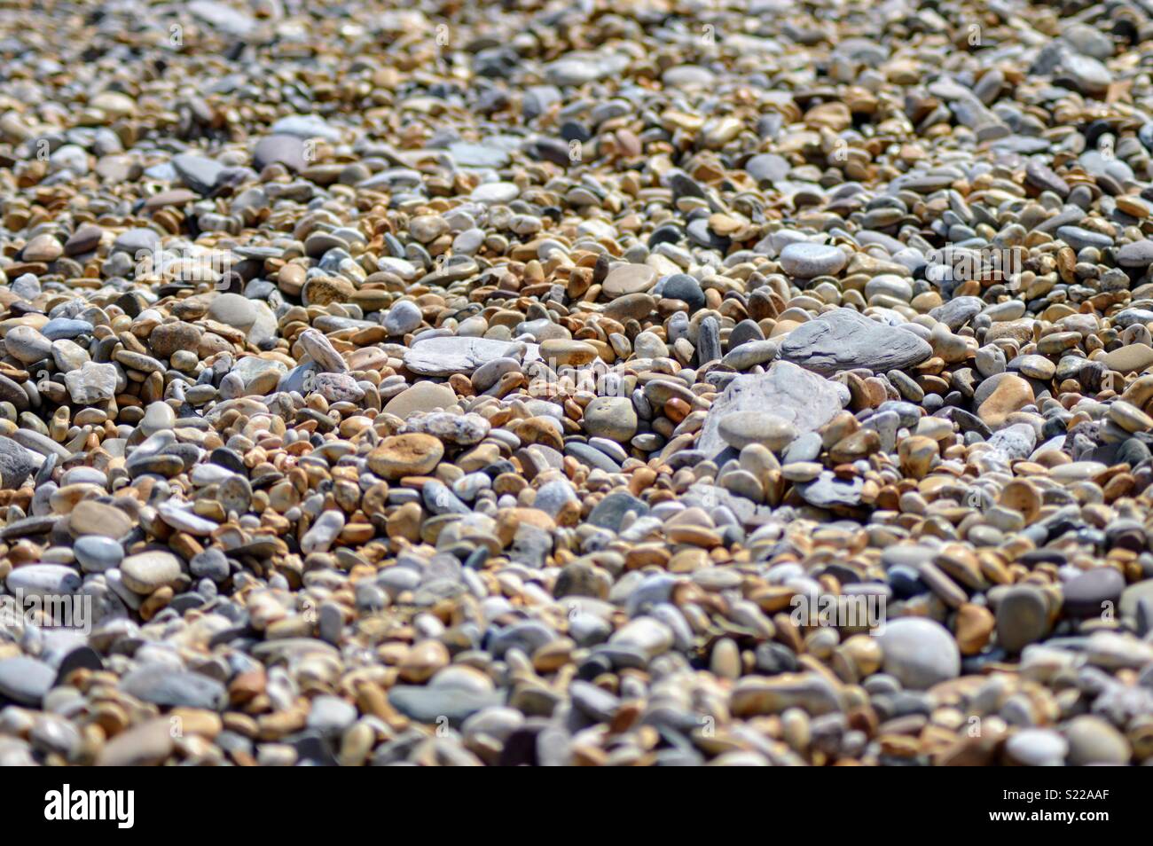 Pebbles at Torcross, Devon Stock Photo - Alamy