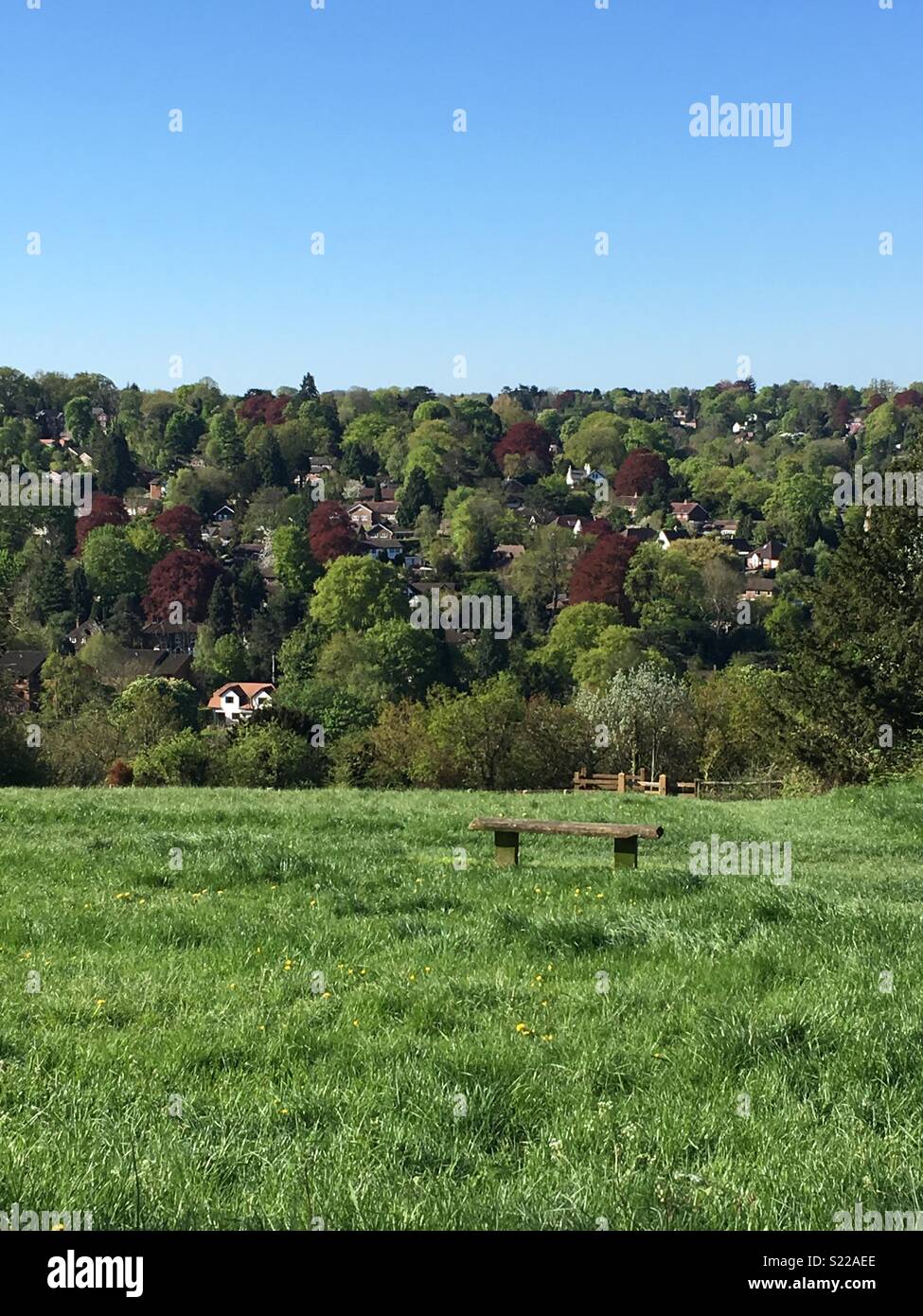 One third - sky, one third -trees, one third - grass Stock Photo - Alamy