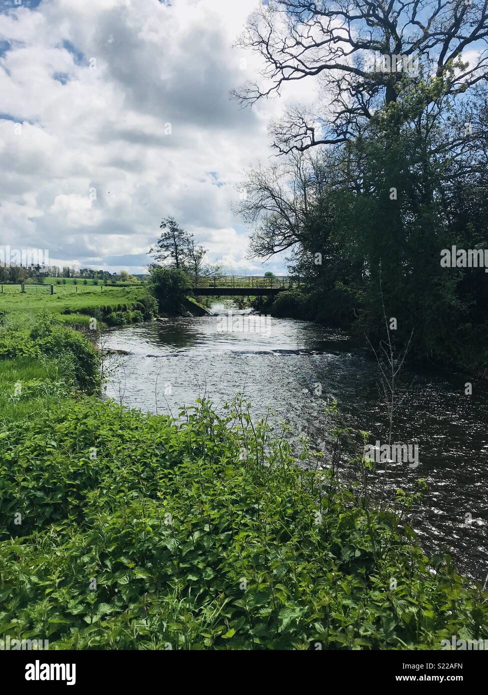 Bank of stream with hi-res stock photography and images - Alamy