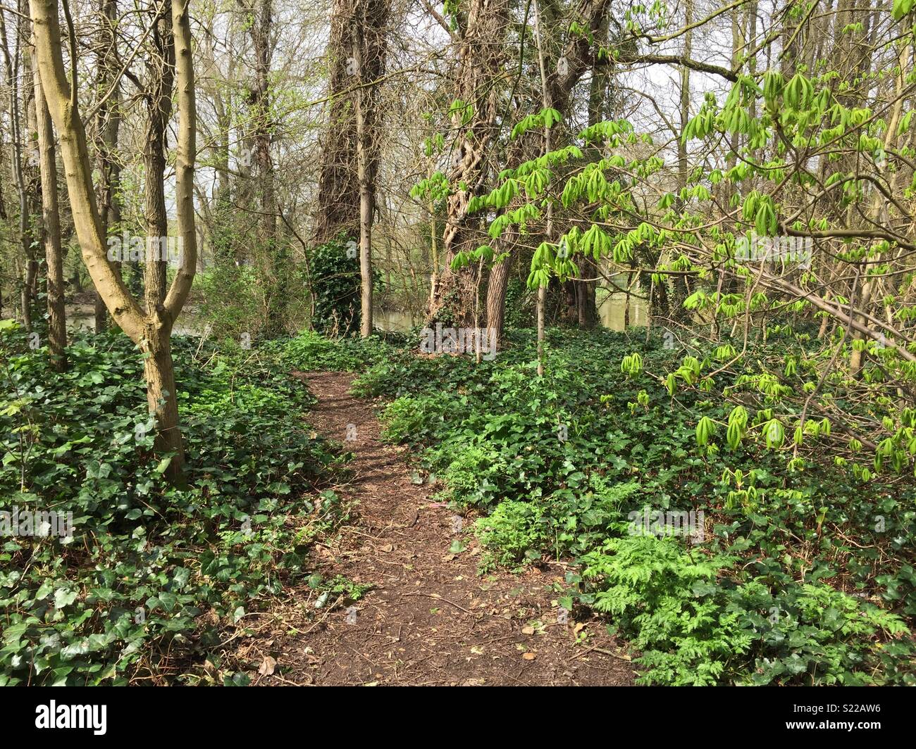 Seasons walk hi-res stock photography and images - Alamy