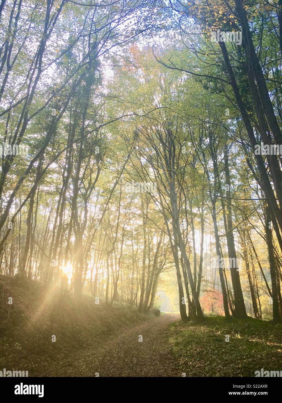 Peace walk hi-res stock photography and images - Alamy