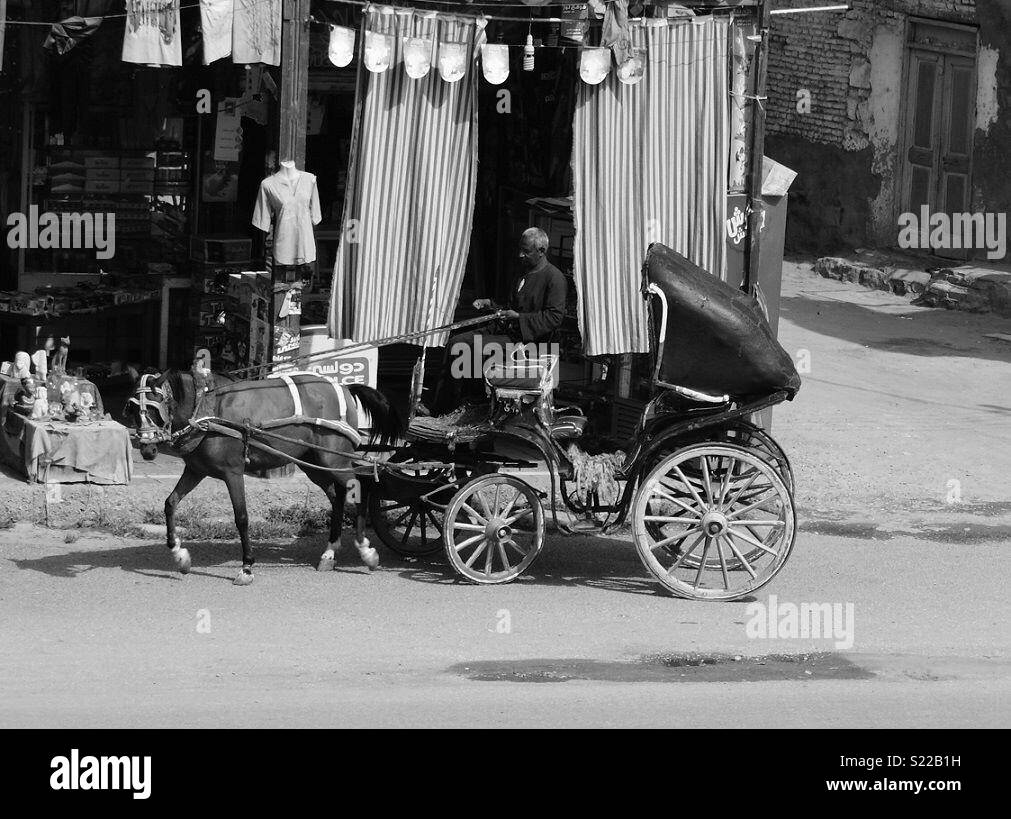 Egyptian carriage hi-res stock photography and images - Alamy