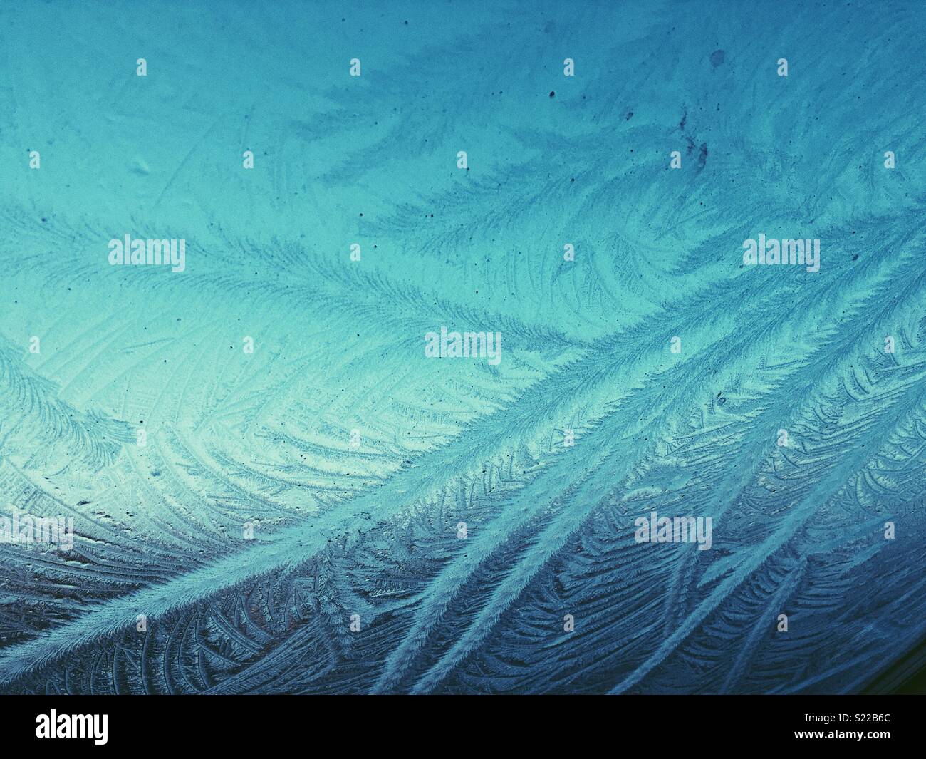 Frozen window art Stock Photo - Alamy