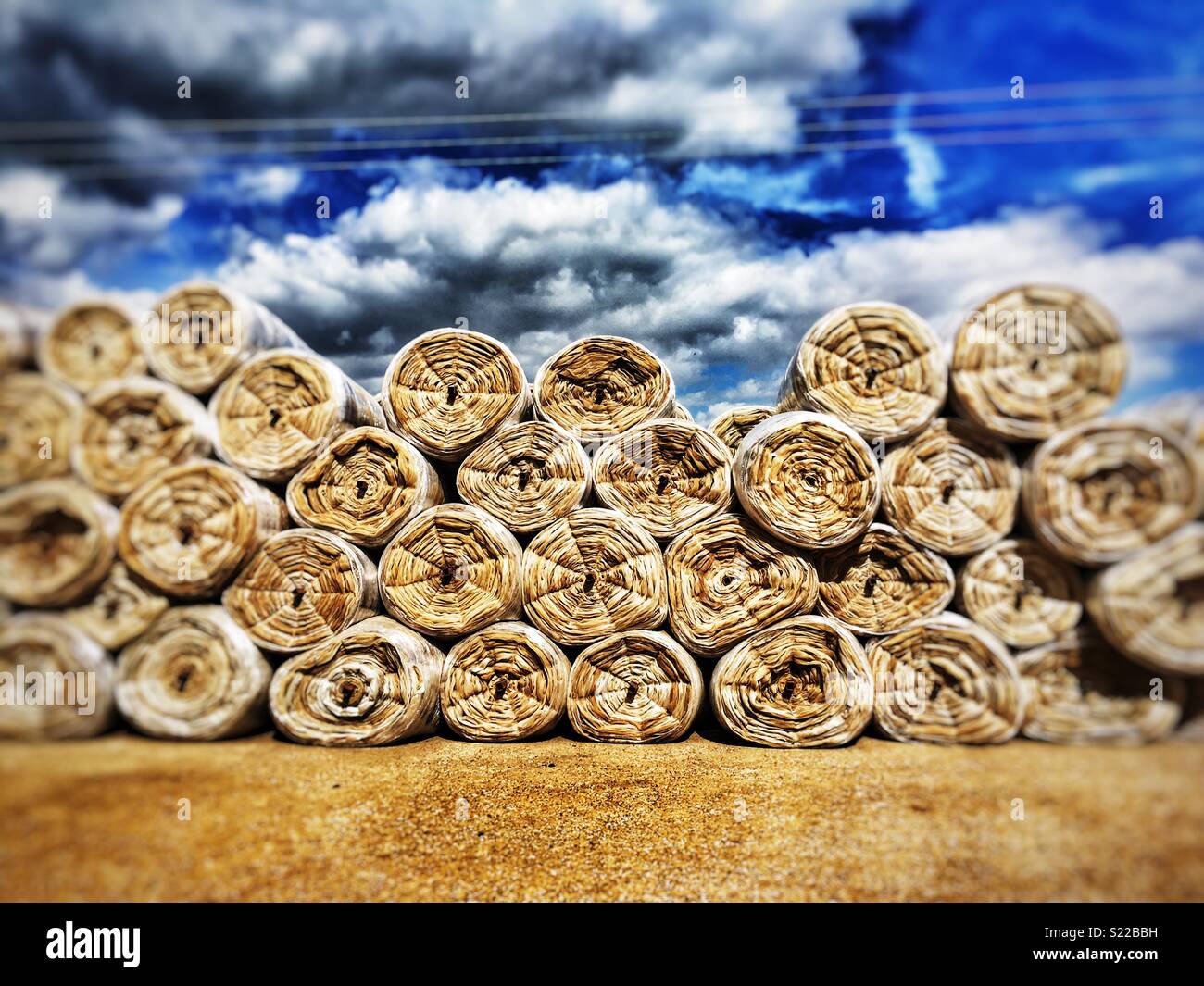 Used agricultural fleece hi-res stock photography and images - Alamy