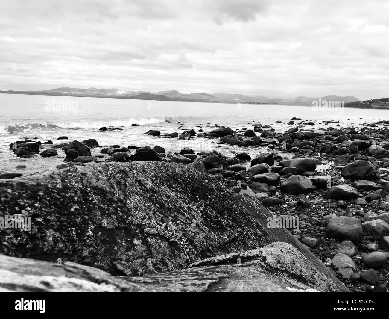 Shell island, Wales, UK Stock Photo - Alamy
