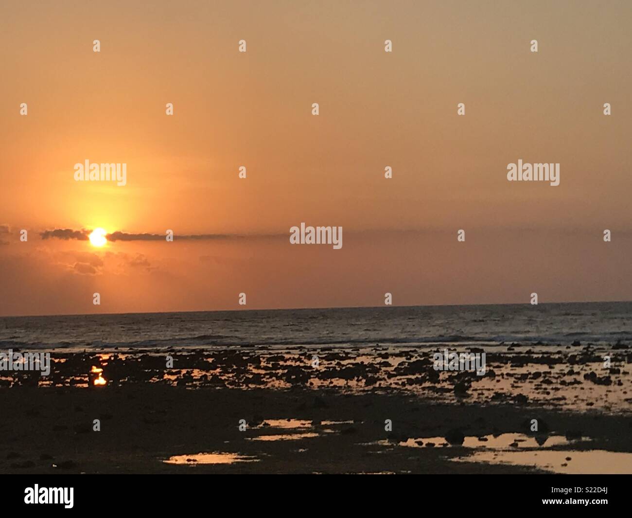 Gilli t hi-res stock photography and images - Alamy