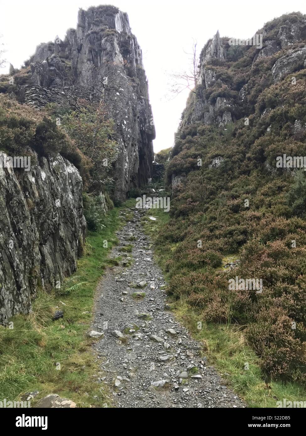 Clearing pathway hi-res stock photography and images - Alamy