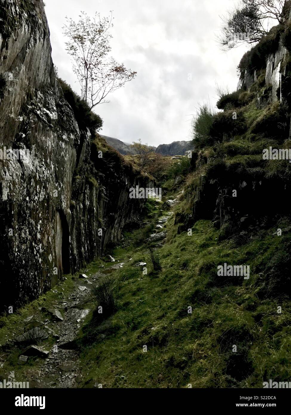 Natural pathway hi-res stock photography and images - Alamy