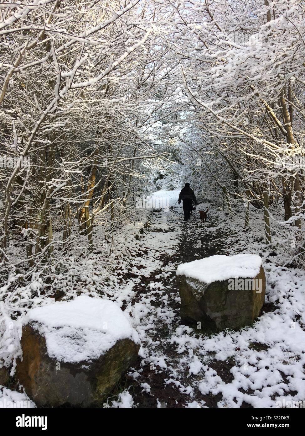 Snow scene in the countryside Stock Photo - Alamy