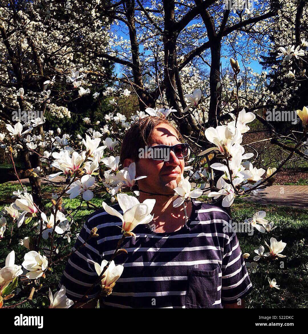 Man and magnolia trees hi-res stock photography and images - Alamy