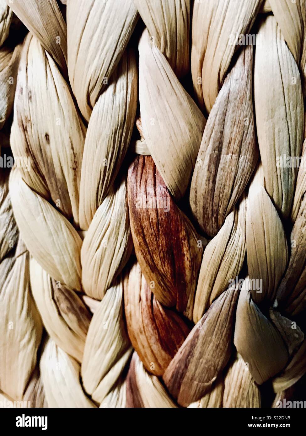 Natural texture hi-res stock photography and images - Alamy