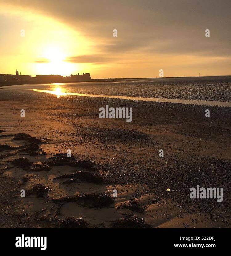 Golden sun hi-res stock photography and images - Alamy