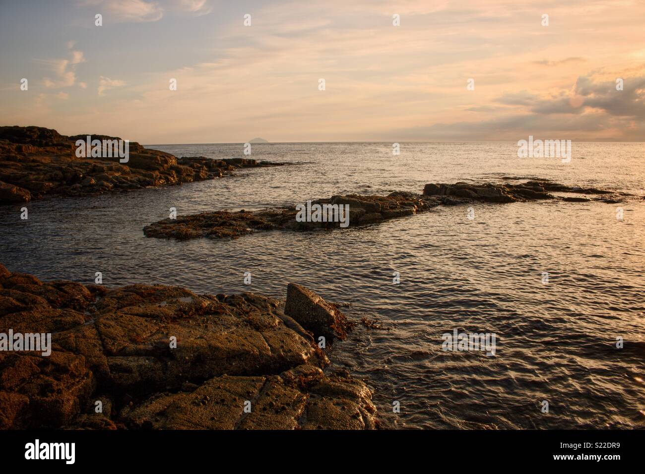 Alisa hi-res stock photography and images - Alamy