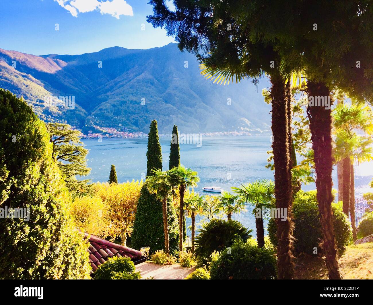 Italian trees with lakeside and mountains Stock Photo - Alamy