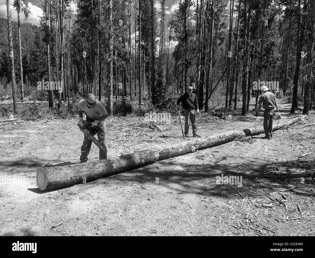Timber cutting Black and White Stock Photos & Images - Alamy