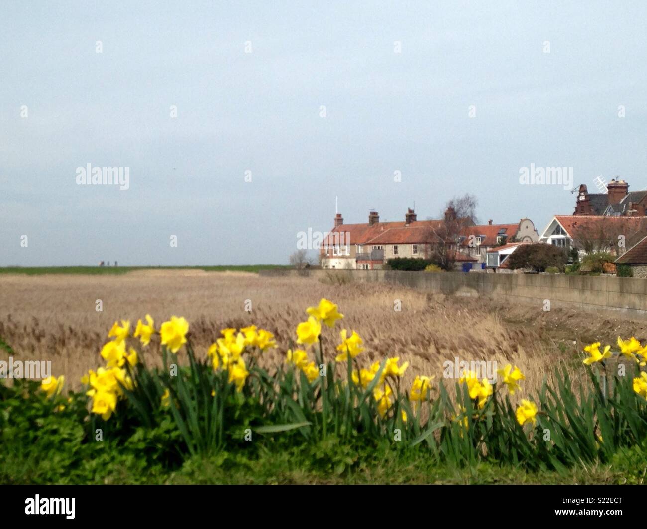 Norfolk in spring bloom Stock Photo - Alamy
