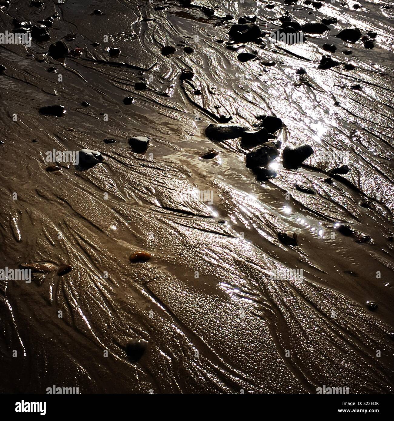 Wet sand and stones on a Norfolk beach Stock Photo - Alamy