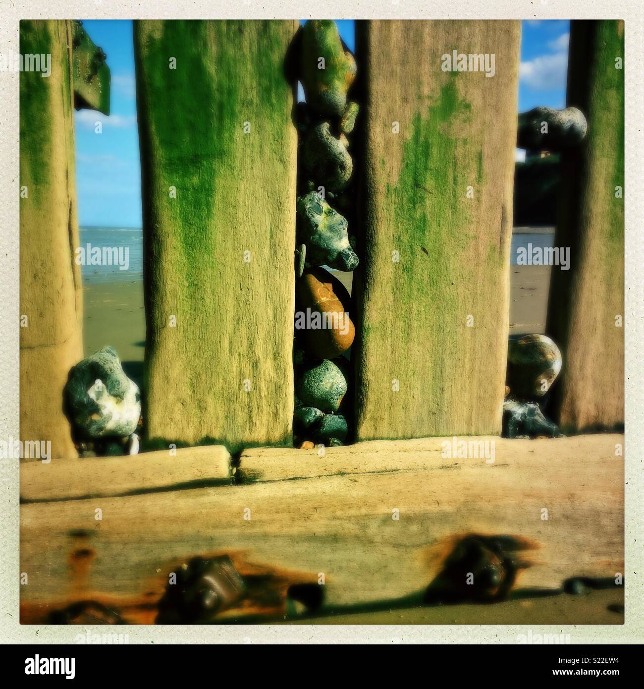 Rocks jammed into a timber groyne by the relentless North Sea on ...