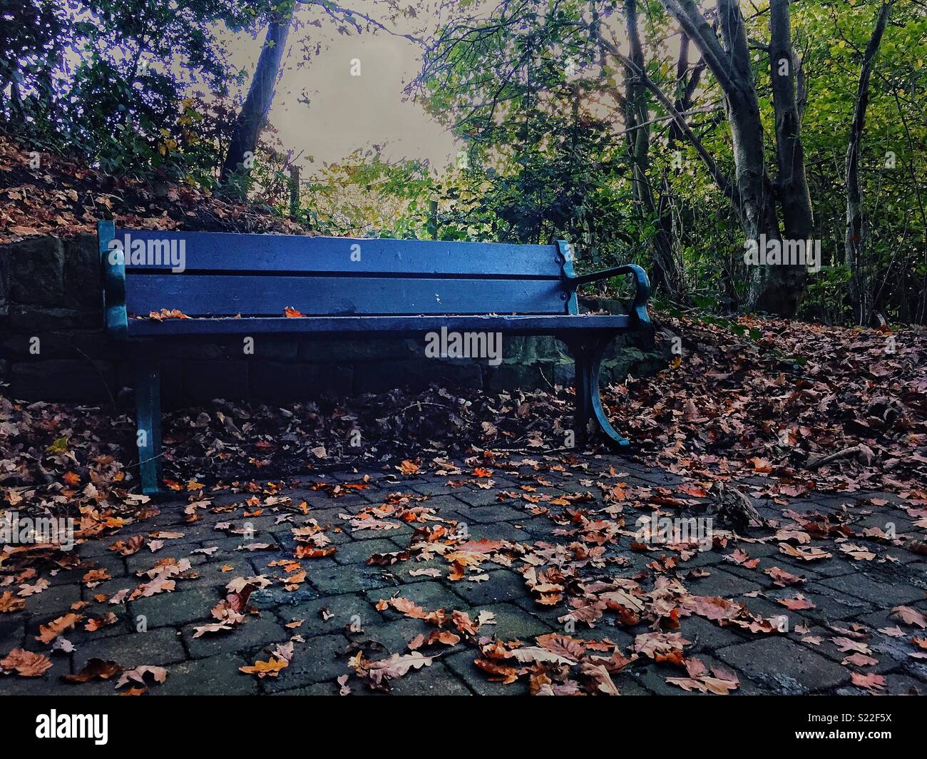 Lonely bench hi-res stock photography and images - Alamy