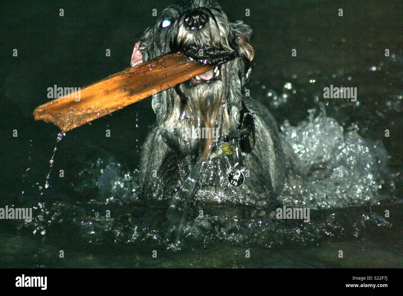 Monster of the deep hi-res stock photography and images - Alamy