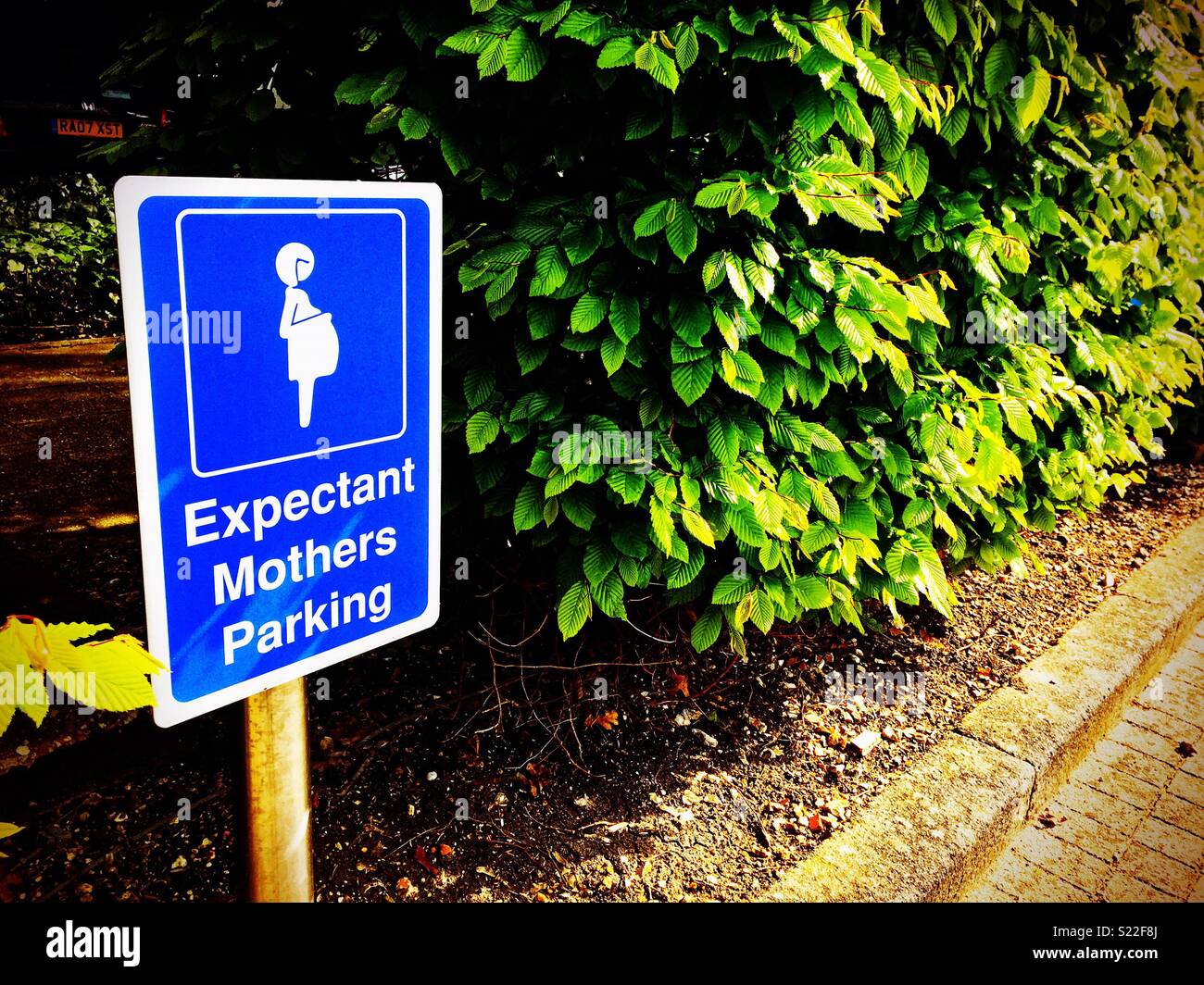 Sign Expectant Mothers Stock Photos & Sign Expectant Mothers Stock ...