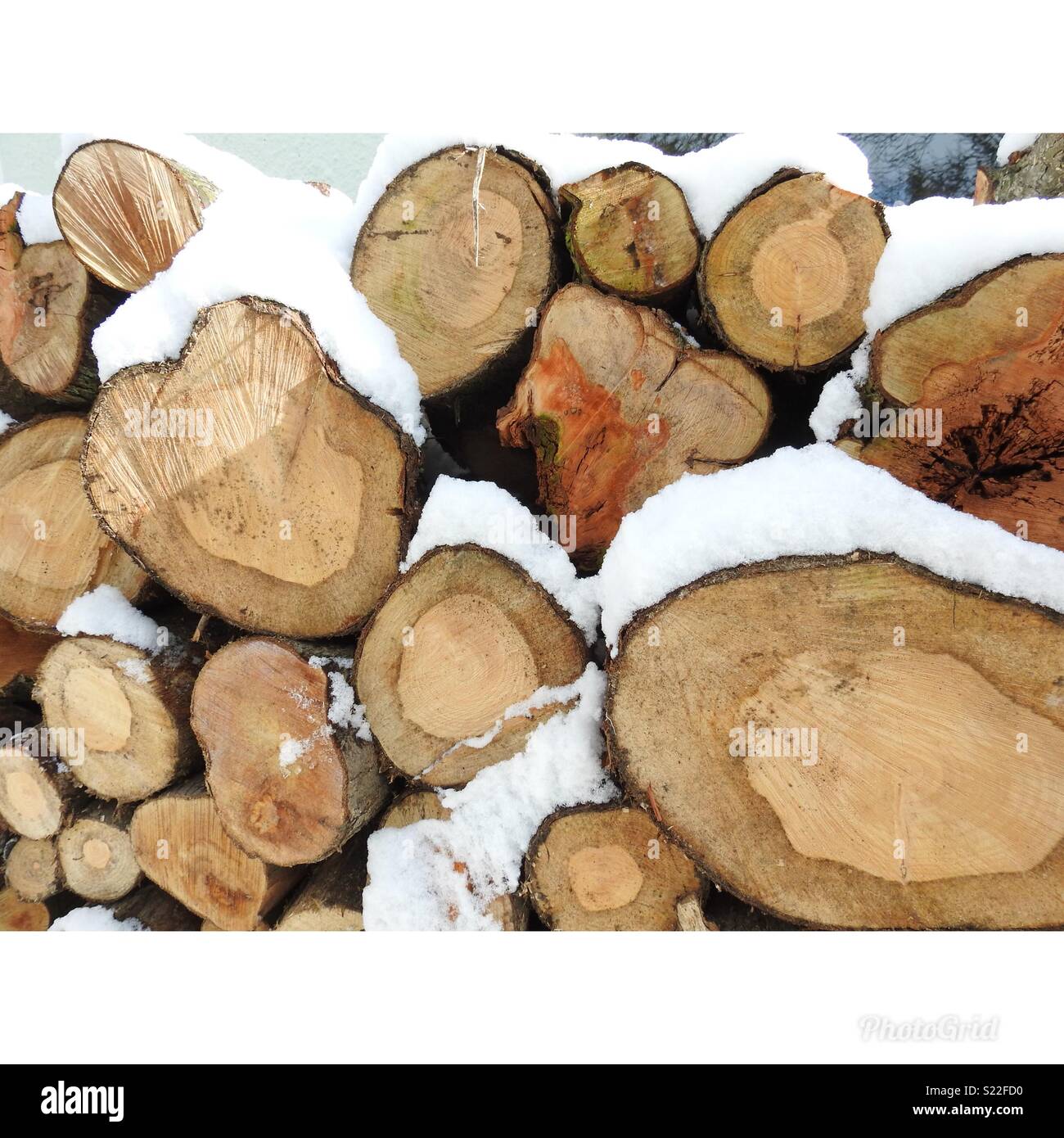 Log pile in the snow Stock Photo - Alamy