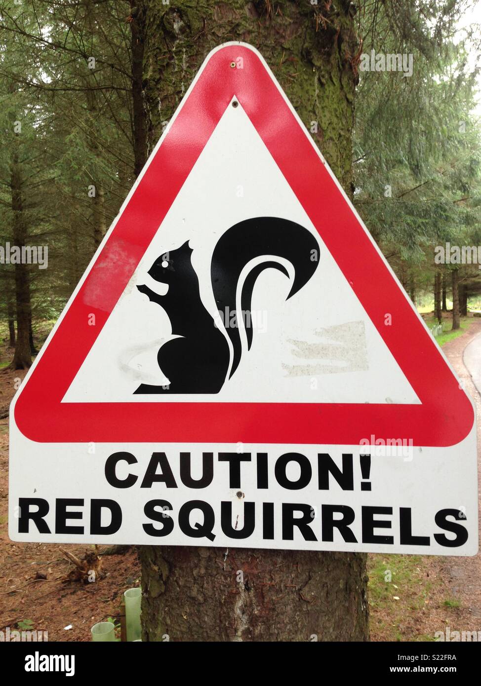 Red squirrel sign hi-res stock photography and images - Alamy