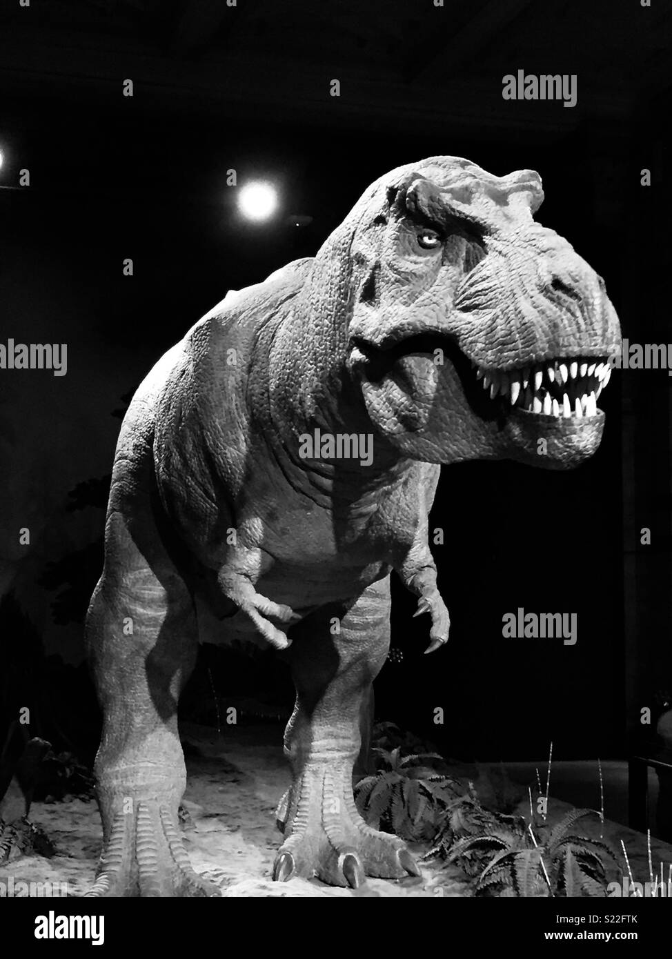 Scary T-Rex Dinosaur Stock Photo - Alamy Scary T-Rex Dinosaur Stock Photo - Alamy