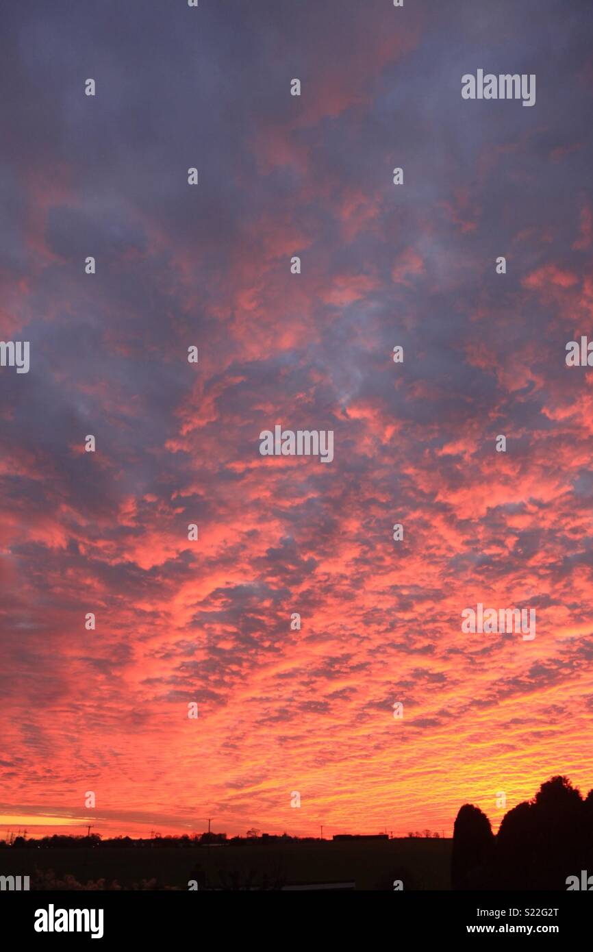 Lumby hi-res stock photography and images - Alamy