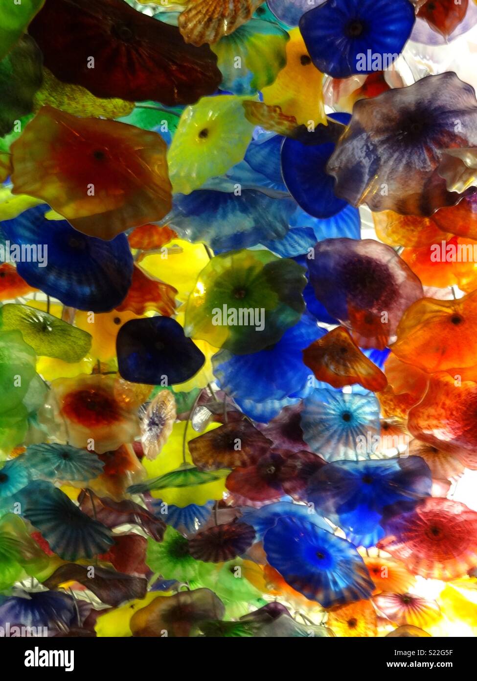 Glass flowers hi-res stock photography and images - Alamy