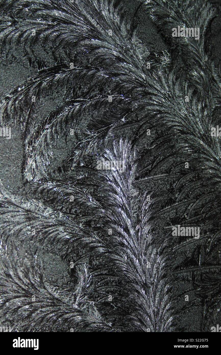 Black and silver feather hi-res stock photography and images - Alamy