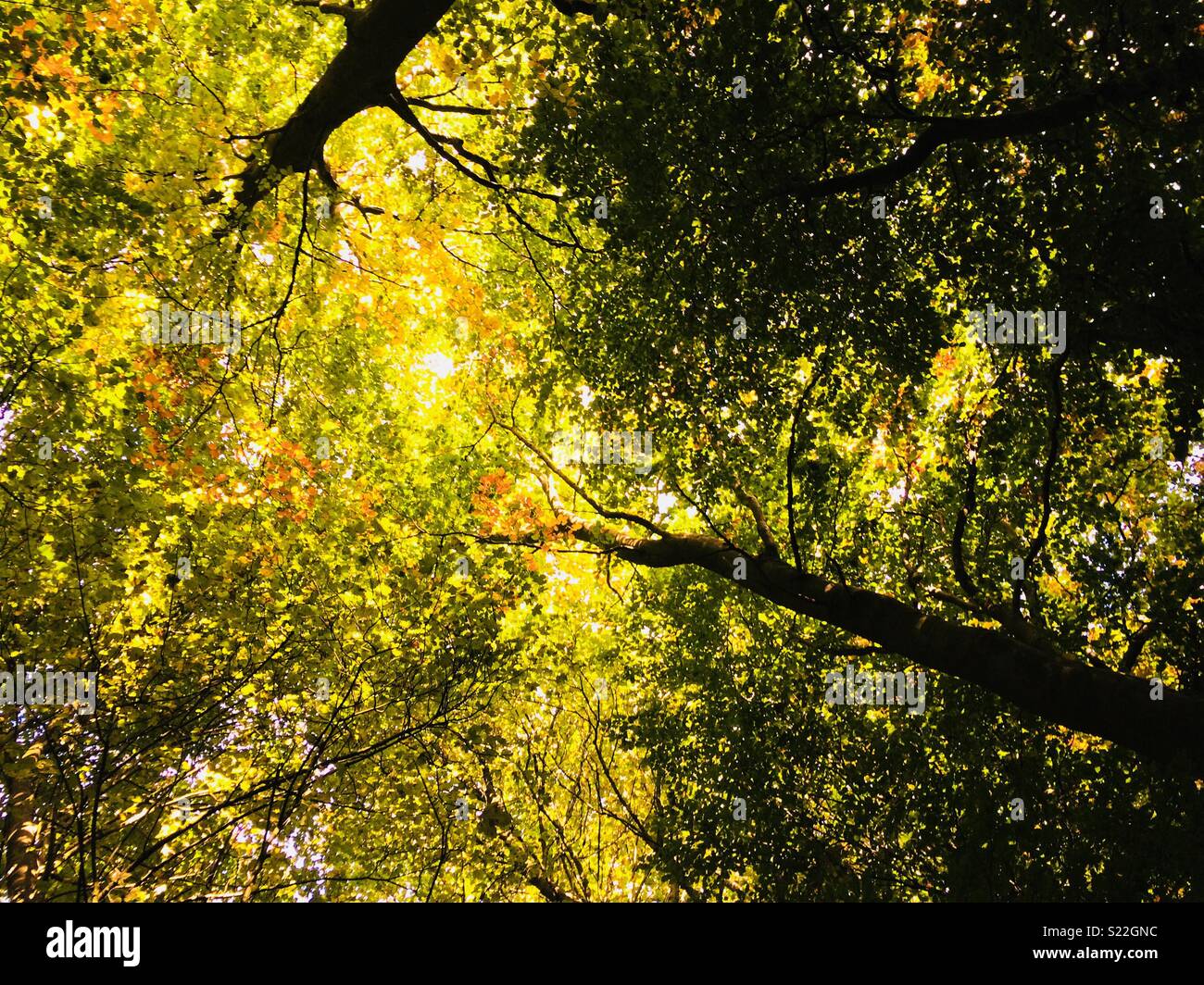 Things are looking up Stock Photo - Alamy