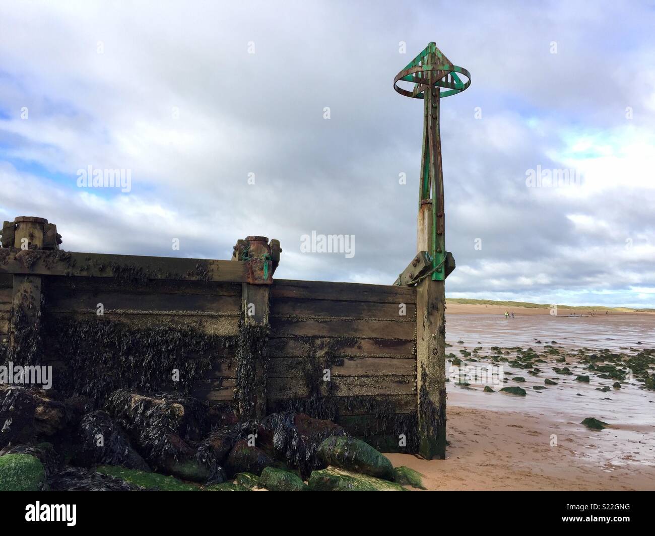 Smell the sea Stock Photo - Alamy