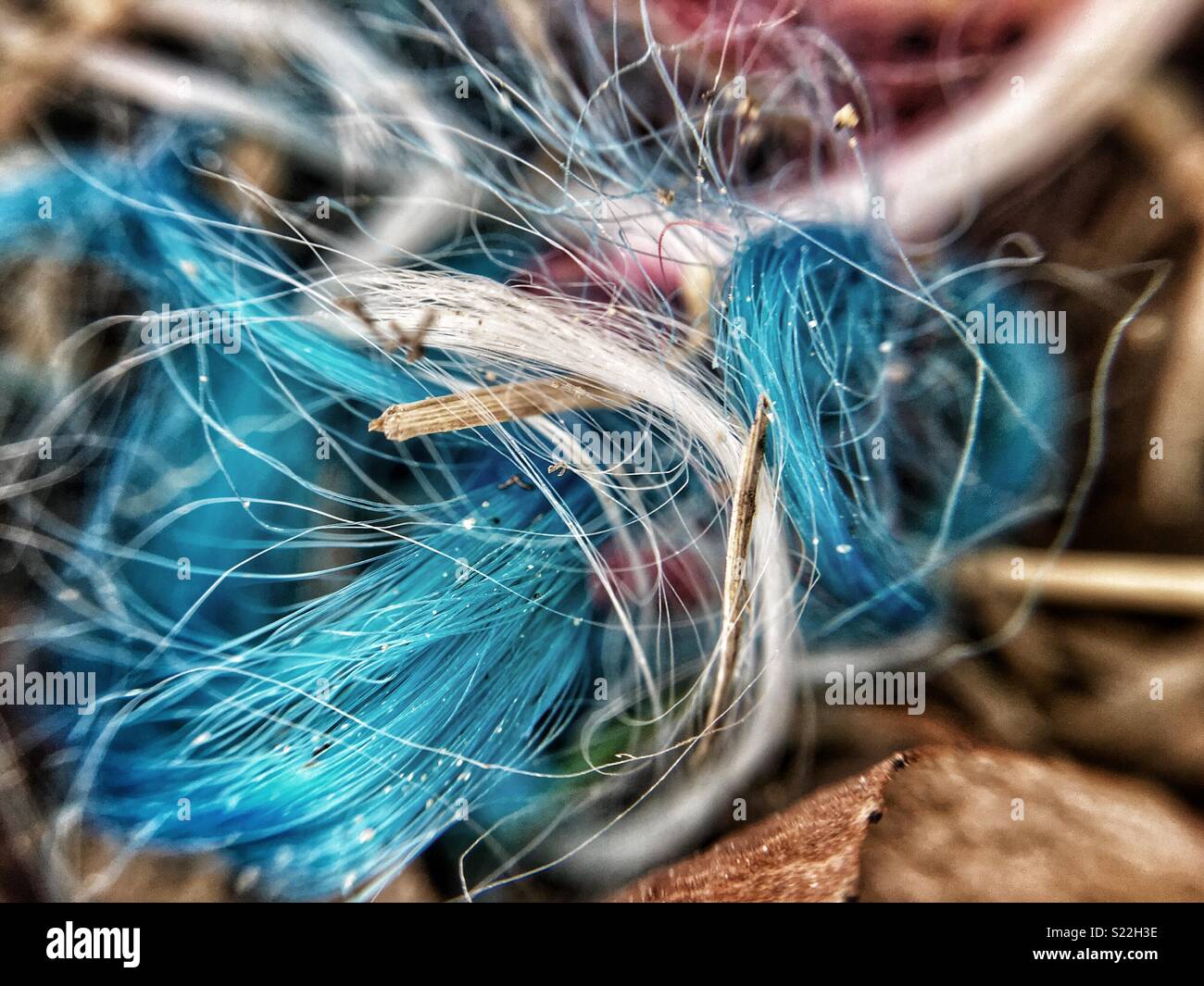 Colorful strings macro Stock Photo - Alamy
