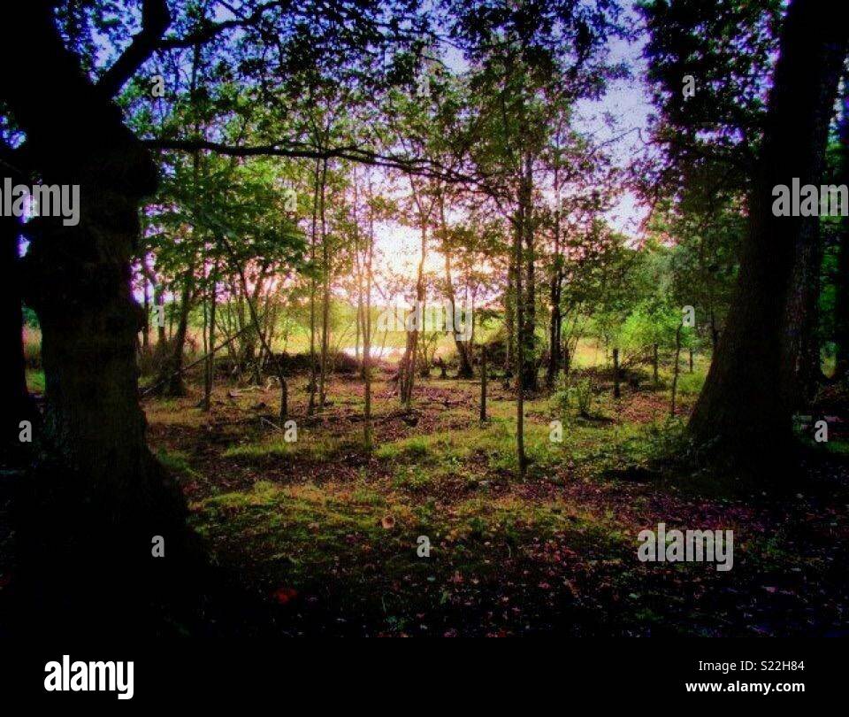 Sun breaking through Stock Photo - Alamy