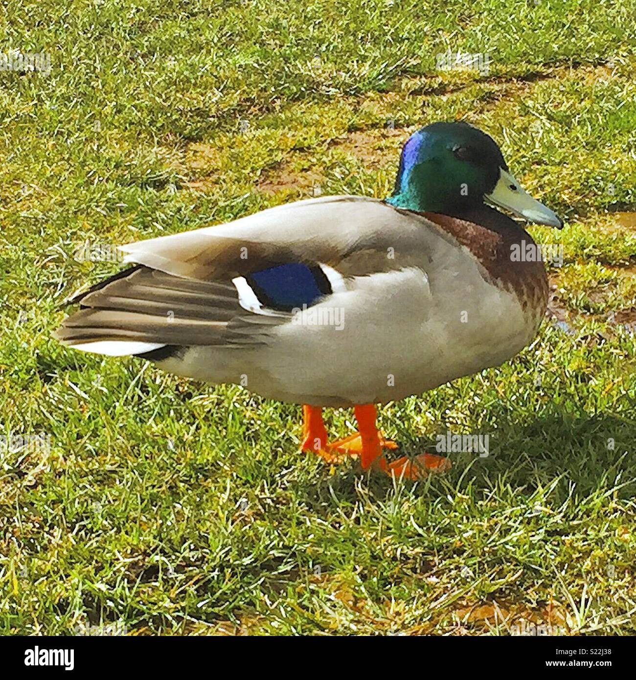 Tebay on the m6 hi-res stock photography and images - Alamy