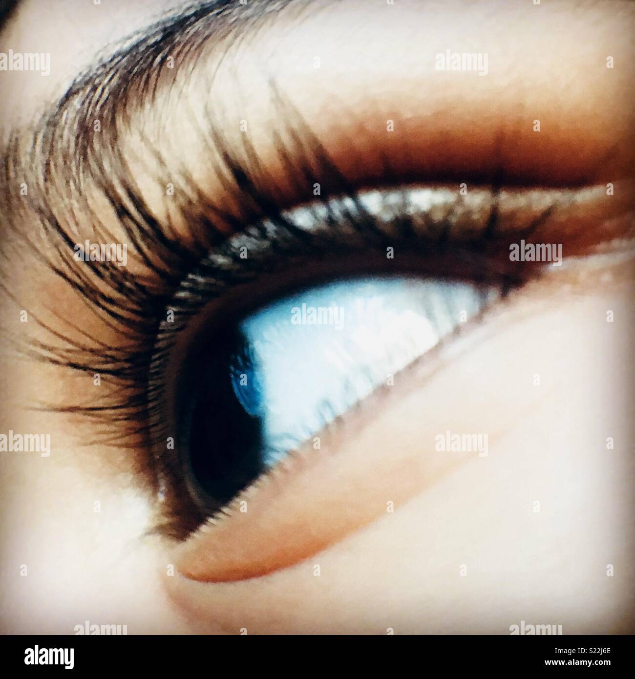 Close view eyes Stock Photo - Alamy