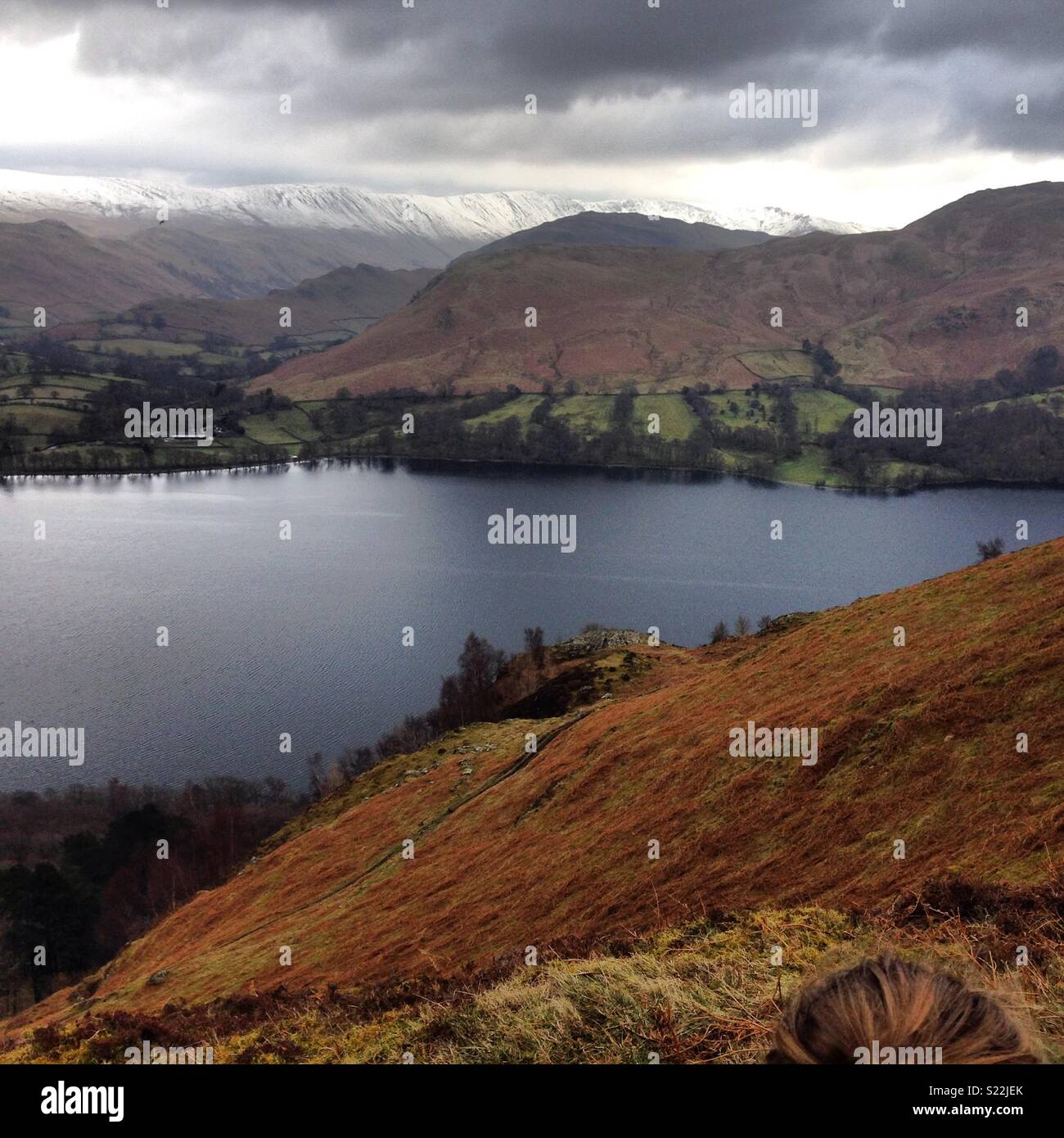 Lovely woods hi-res stock photography and images - Alamy