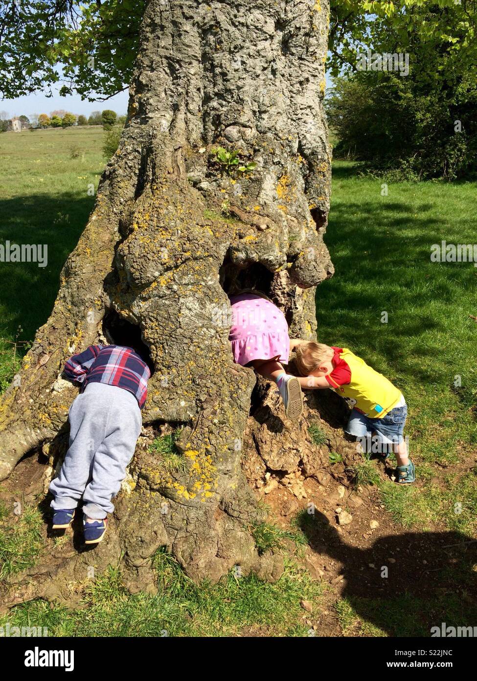 Hide and seek children hi-res stock photography and images - Alamy