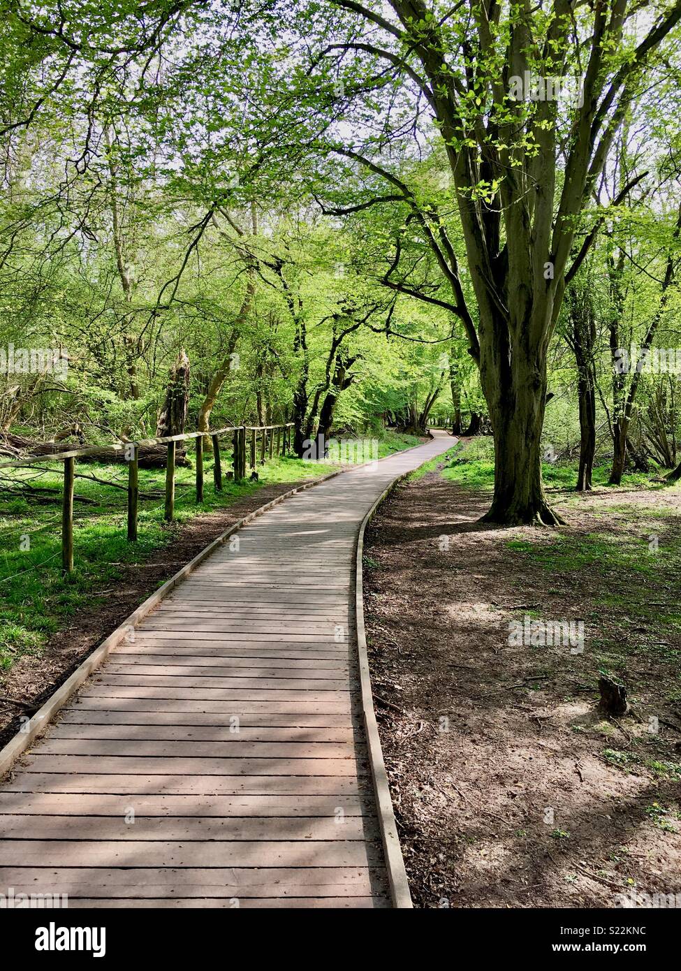 Hatfield Forest Nature Walk Stock Photo - Alamy