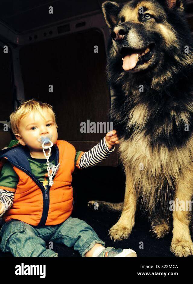 Boy loves dog hi-res stock photography and images - Alamy