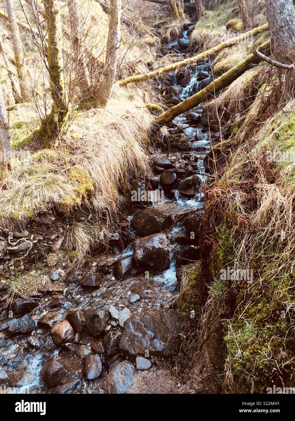 Scottish stream hi-res stock photography and images - Alamy