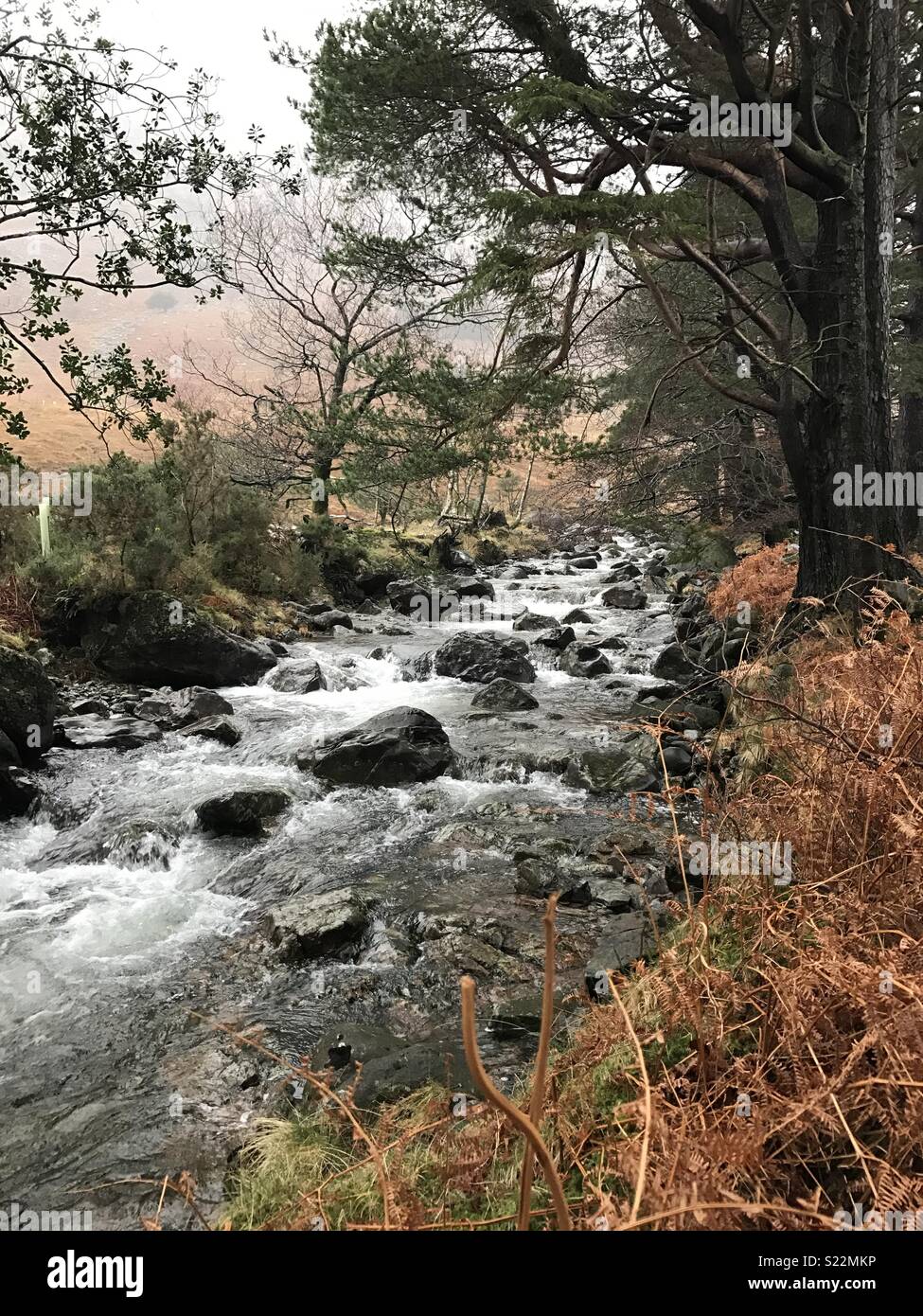 Stream with beautiful rocks hi-res stock photography and images - Alamy