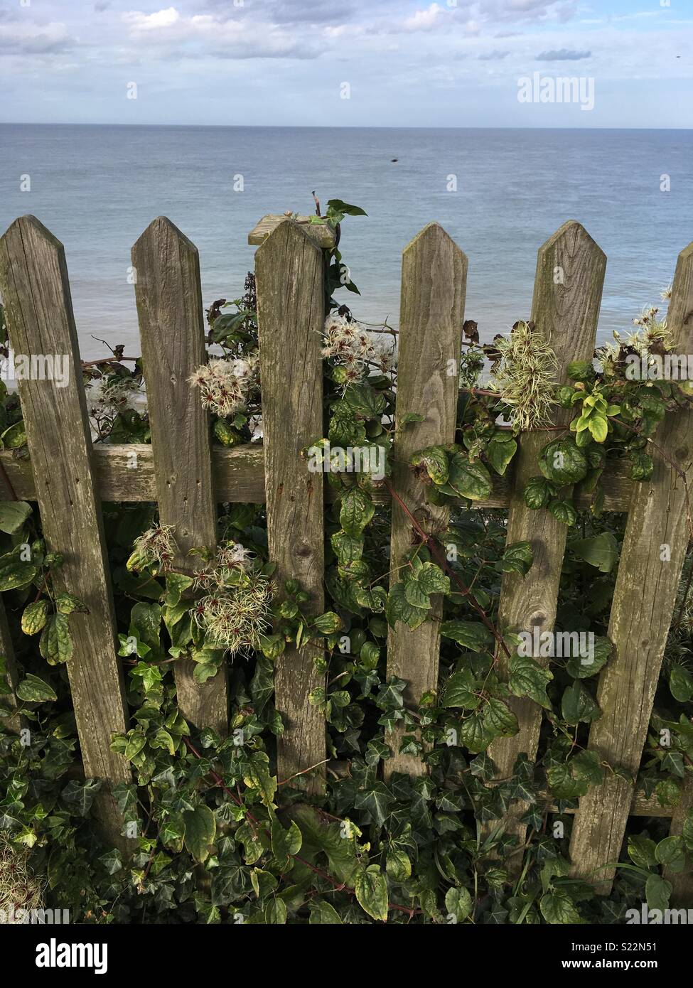 Fence view hi-res stock photography and images - Alamy