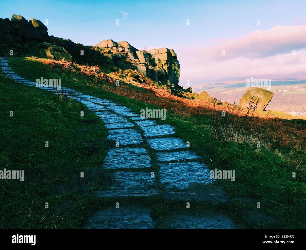 Cow and calf rocks ilkley hi-res stock photography and images - Alamy