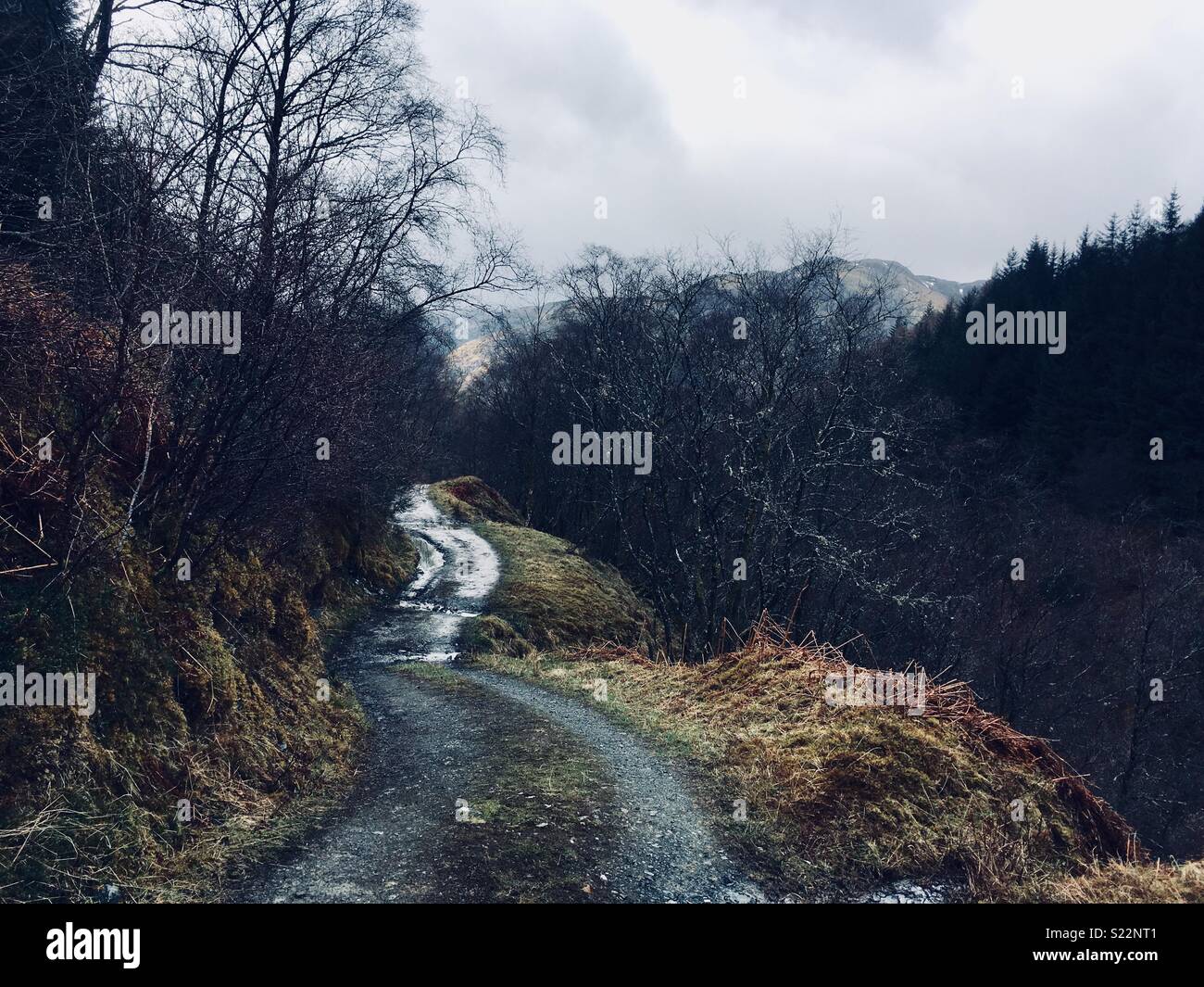 Scottish mountain path on a rainy day Stock Photo - Alamy