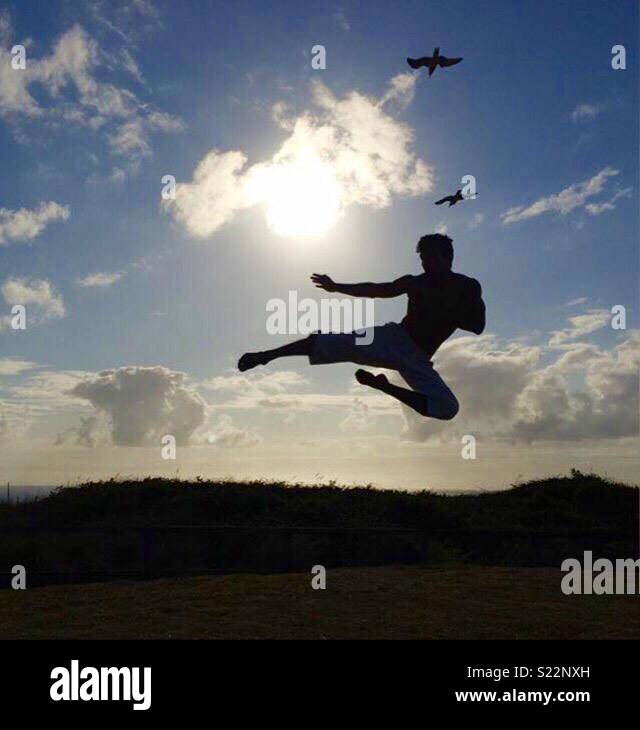 Karate Shadow High Resolution Stock Photography and Images - Alamy