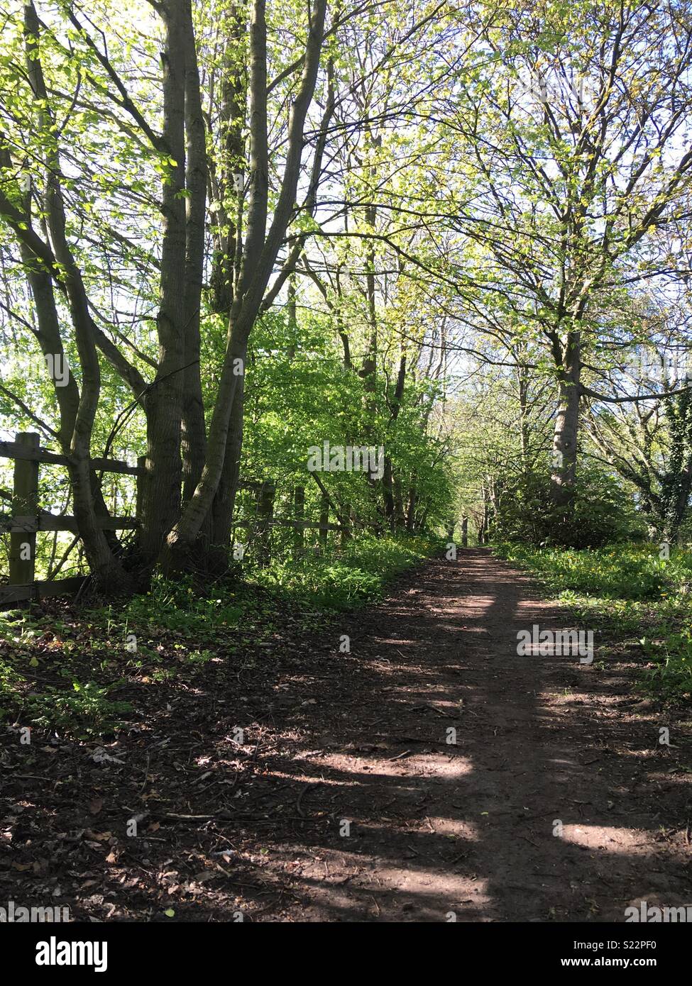 A walk in the countryside Stock Photo - Alamy