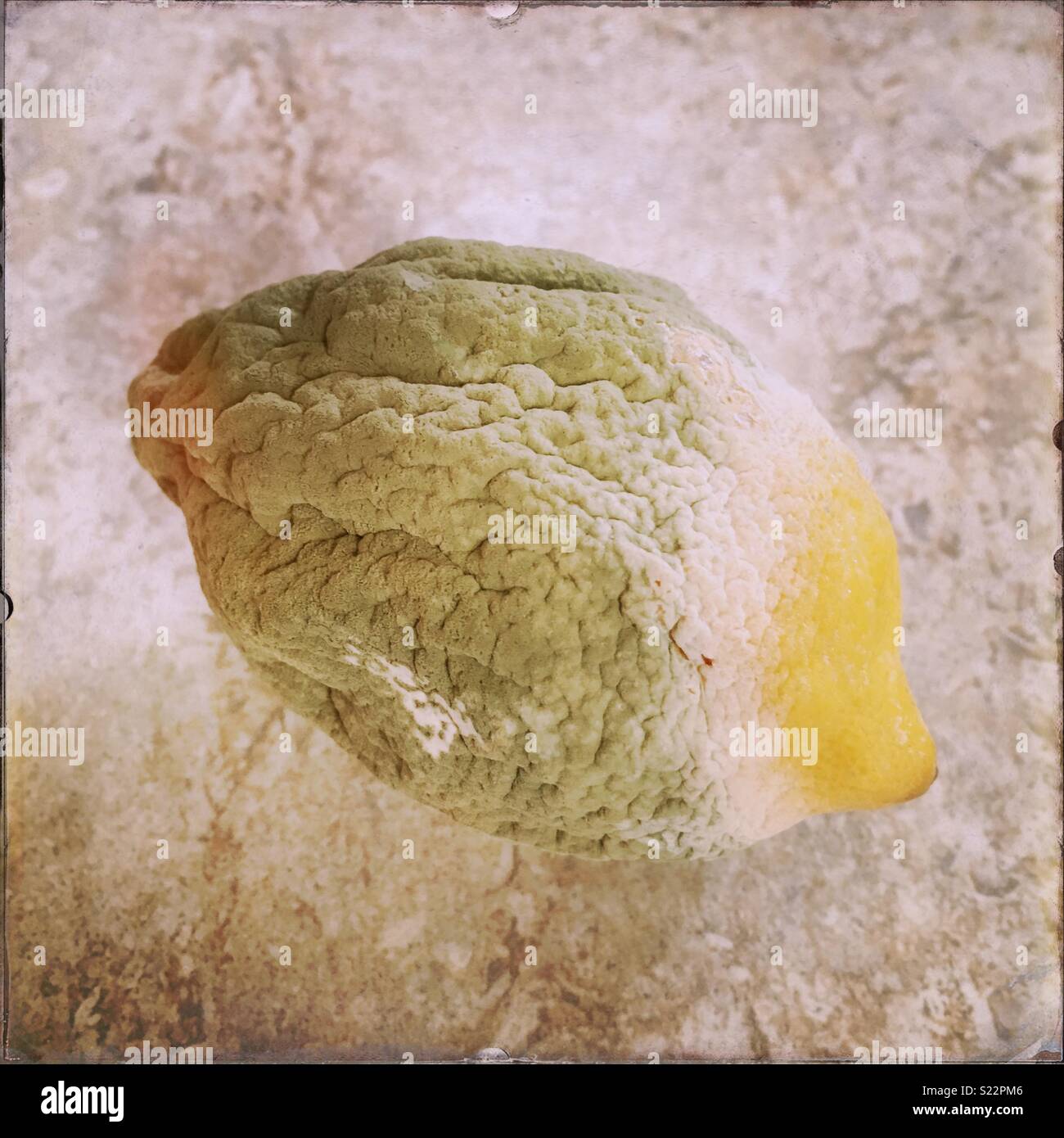 Mold covered lemon on a kitchen counter Stock Photo - Alamy