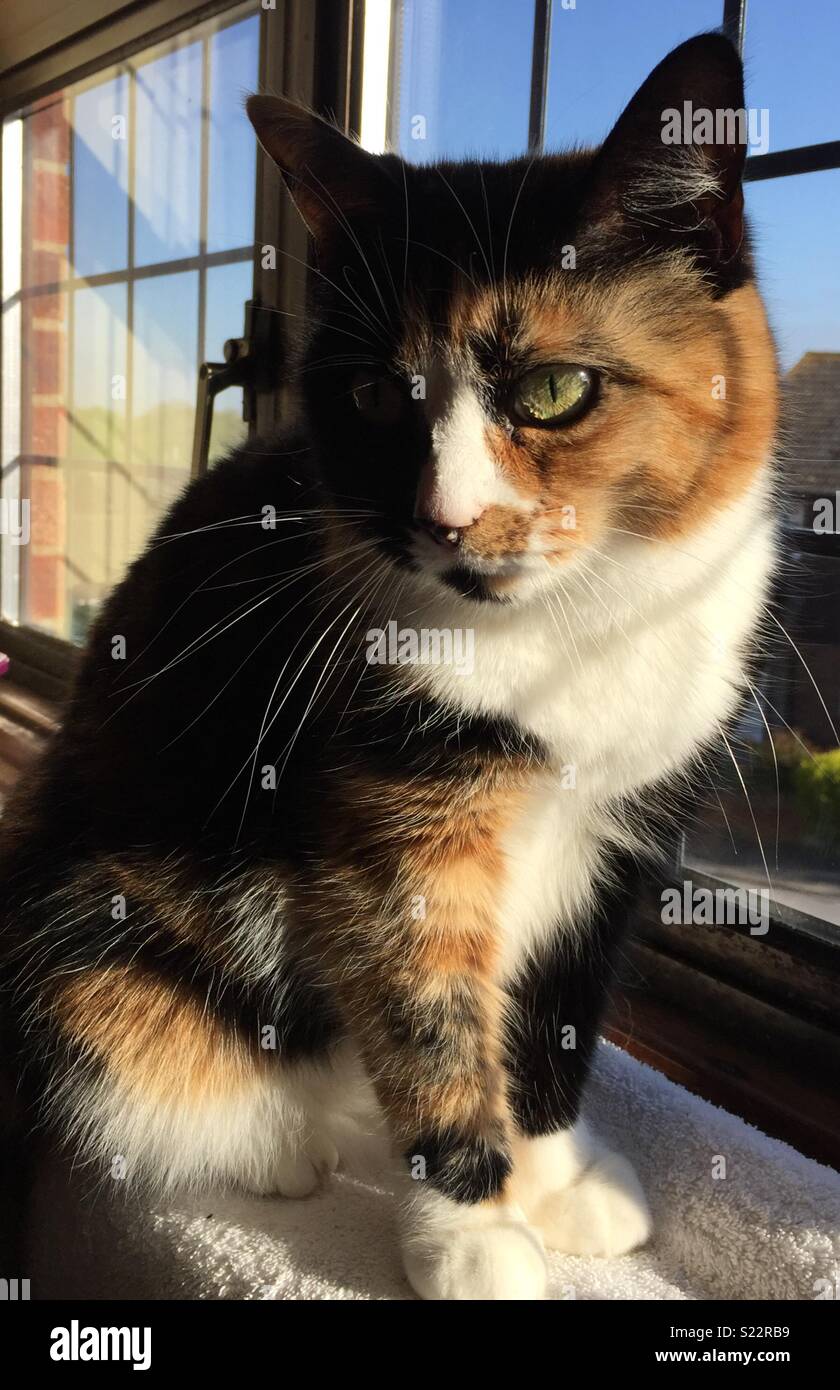 Sleepy eyes hi-res stock photography and images - Alamy